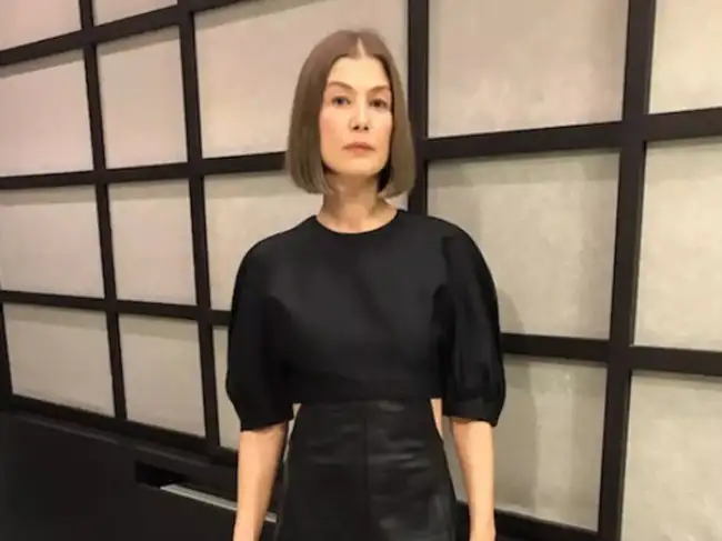 'Gone Girl' star Rosamund Pike set to headline pandemic thriller 'Rich ...