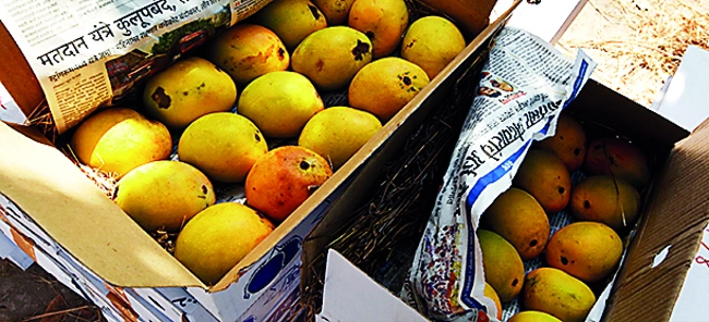 Mangopoint raises Rs 1.82 crore in a round led by The Chennai Angels ...