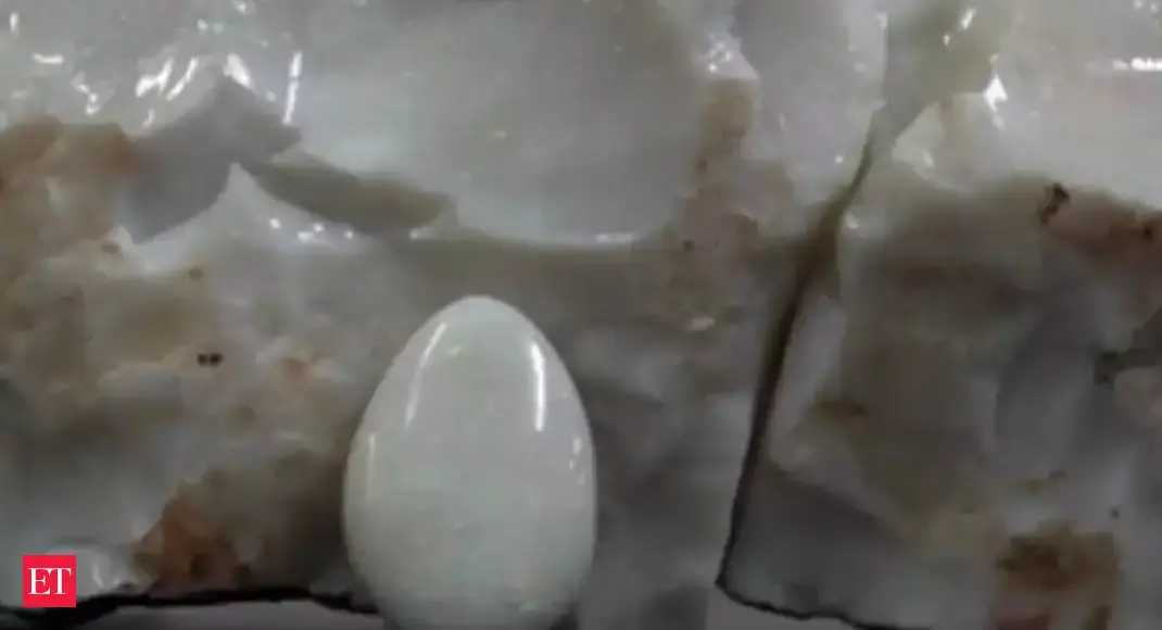 Watch: One of the world’s largest opals up for auction - The Economic ...