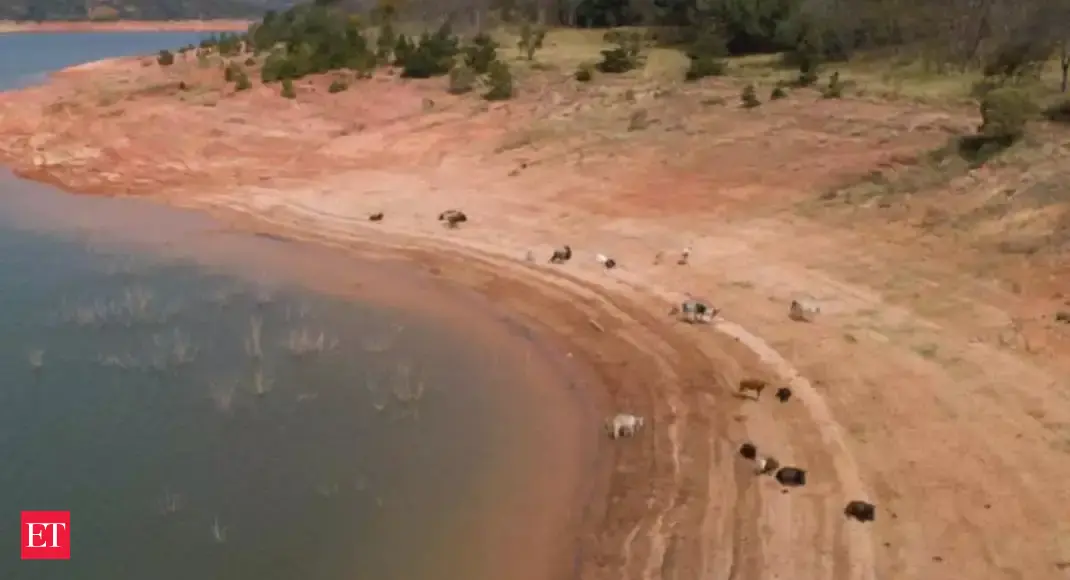 Climate change has an early impact in South America - Alarm bells ...