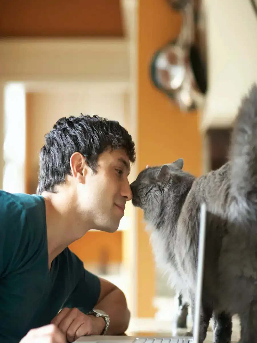 Back to office: How to help your pets cope | EconomicTimes