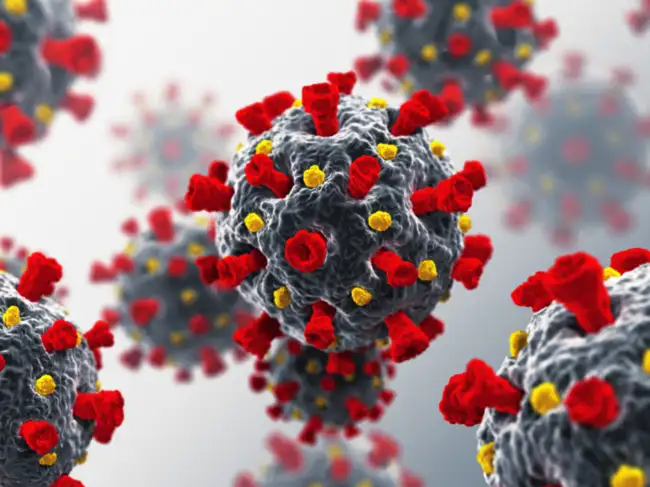 Covid-19 is self-destructive too! Study shows how virus-infected cells ...