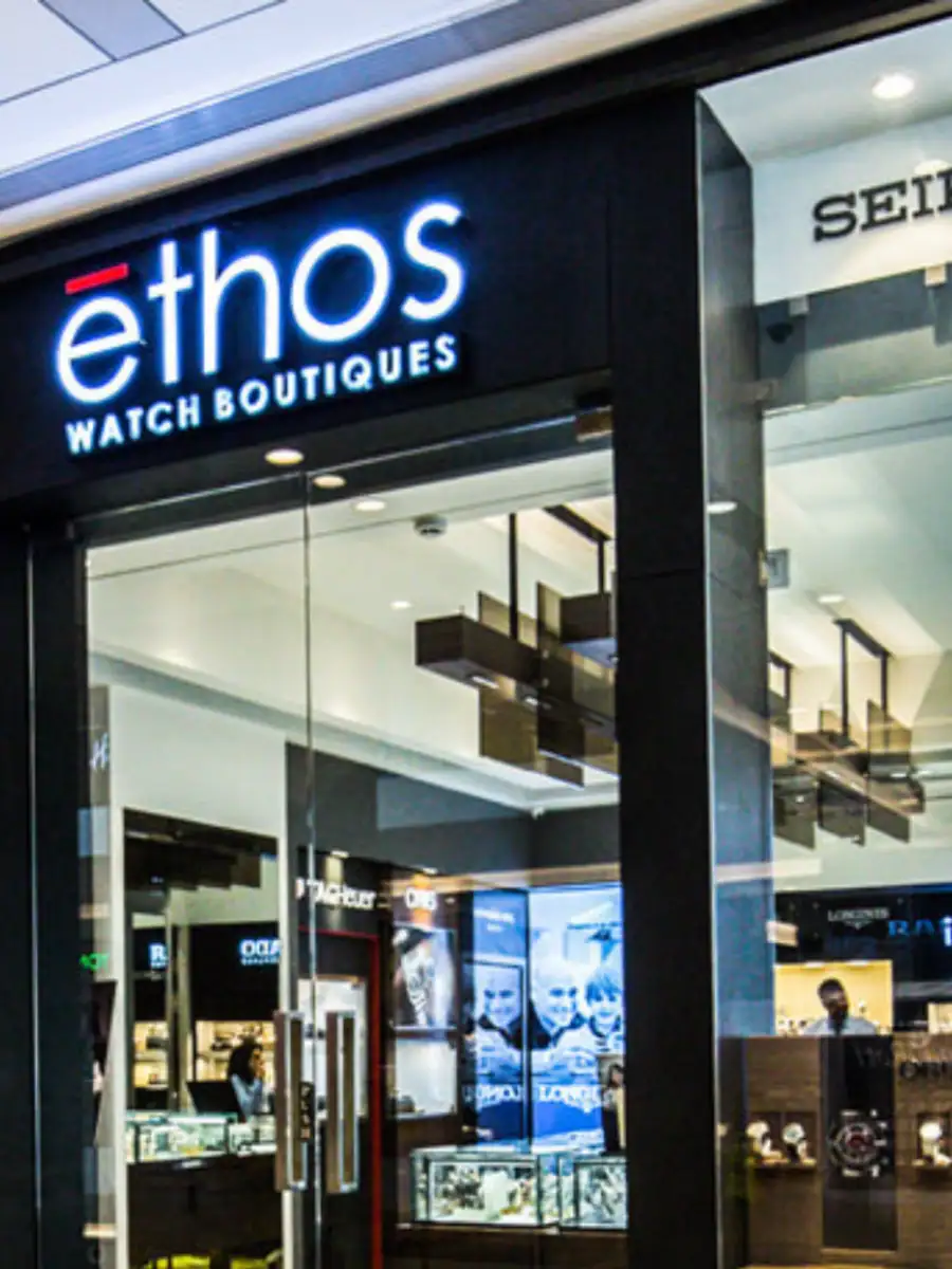 Ethos IPO: Understanding its business, profit, outlook, analysts view ...