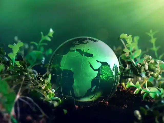 Polycrisis : Will WTO find a solution to the looming 'polycrisis ...