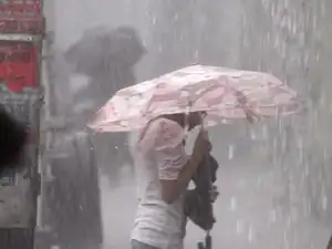 mawsynram: Mawsynram, one of world's wettest places received record ...