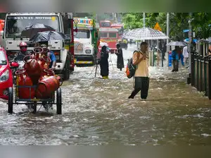 Maharashtra rains: Maharashtra: Rains cause flood-like situation in three districts; overall ...