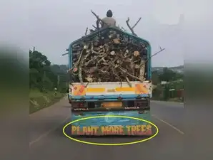 Ultimate irony? A truck carrying chopped trees has this message - The ...
