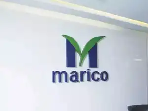 'Marico's D2C brands now ₹500-Cr business' - The Economic Times