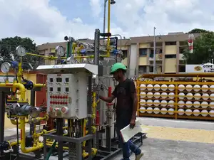 GAIL to double share capital; add specialty chemicals, clean energy to ...