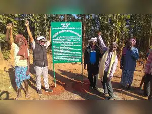 Jharkhand forest dept kicks off save tree mission by tying Rakhis - The ...