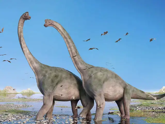 Shocking! Man unearths skeleton of 'largest dinosaur ever' in his ...