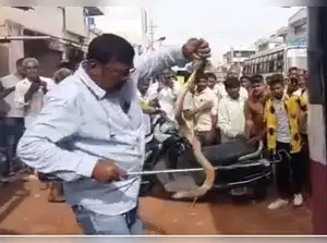 When a big cobra was found in a moving bus in Karnataka: Watch video ...