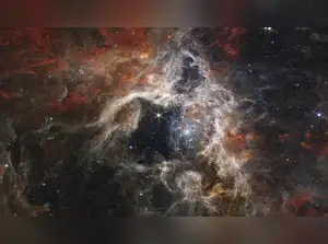 james webb telescope: NASA's James Webb Space Telescope Captures ...