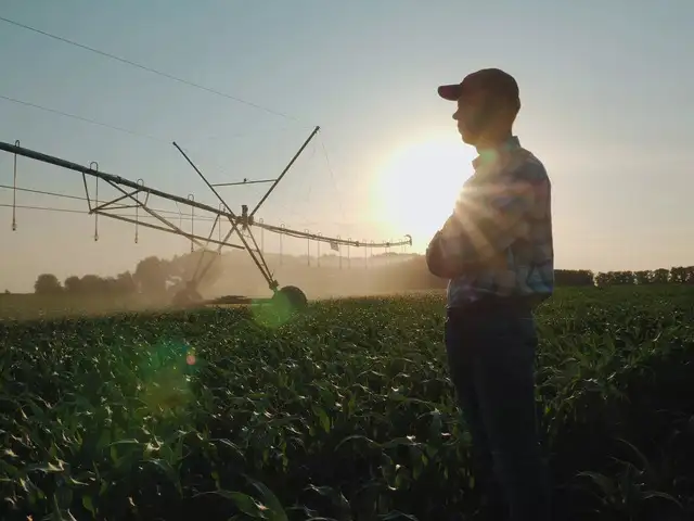 How Using Precision Technologies Can Boost Crop Yields Crop