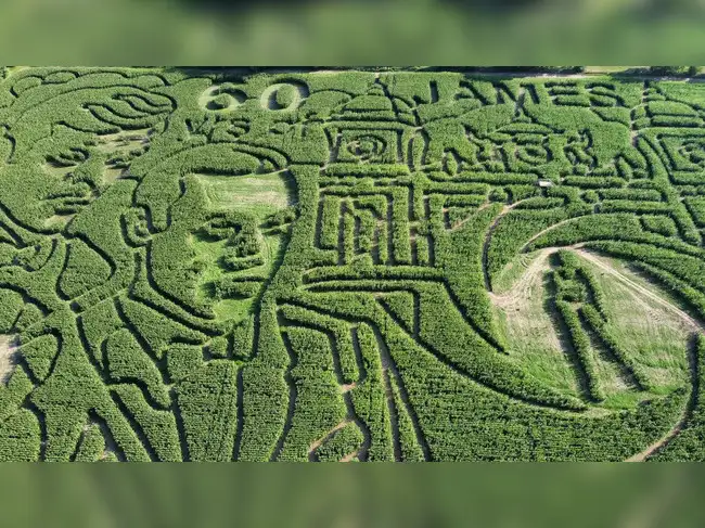 60 yrs of James Bond: 'World's largest corn maze' features Sean Connery ...