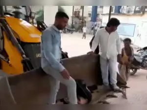 Madhya Pradesh Accident News: Watch: In Madhya Pradesh, accident victim ...