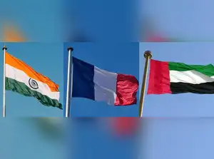 trilateral ministerial meeting: India, UAE and France hold first ...