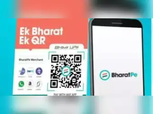 bharatpe: BharatPe's point of sale vertical turns profitable - The ...