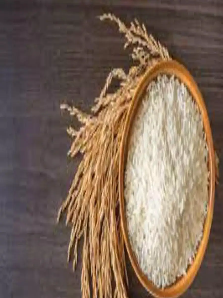 rice: Healthy substitutes to Rice | EconomicTimes