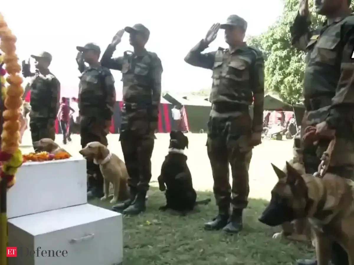 Watch: 29 Army Dog Unit pays tribute to Indian Army Dog 'Zoom' who died ...