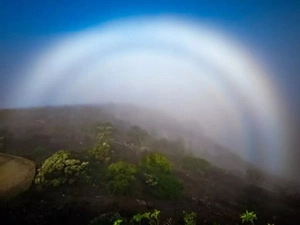 Fogbow: Photo of rare white rainbow wows netizens - The Economic Times