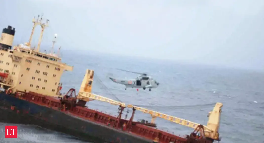 Sinking cargo ship can cause havoc to marine life - | The Economic Times