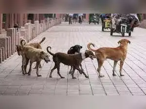 kerala: Ineffective Vaccines Not Cause of Rabies deaths in Kerala ...