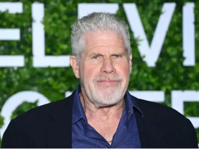 Ron Perlman boards Liam Neeson-led gangster thriller 'Thug' - The ...