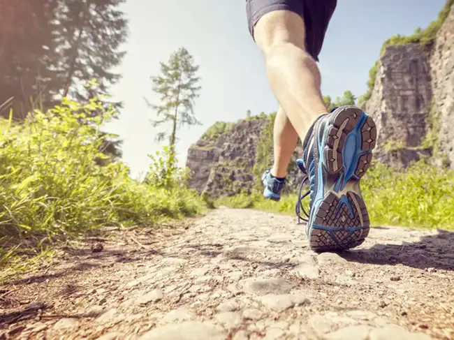 Secret to better health: Brisk walk for 30 minutes can keep heart ...