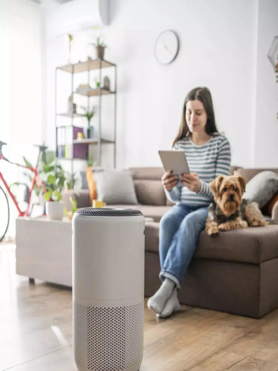 Benefits of using an air purifier | EconomicTimes