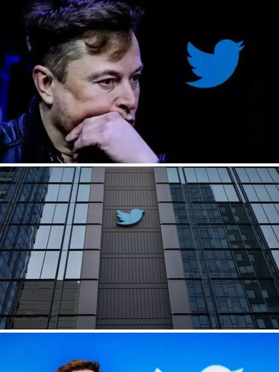 Winter Is Coming! A Timeline of Elon Musk's Twitter Takeover ...