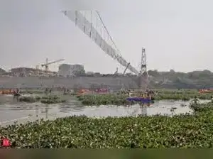 oreva: Contract with Oreva under the scanner - The Economic Times