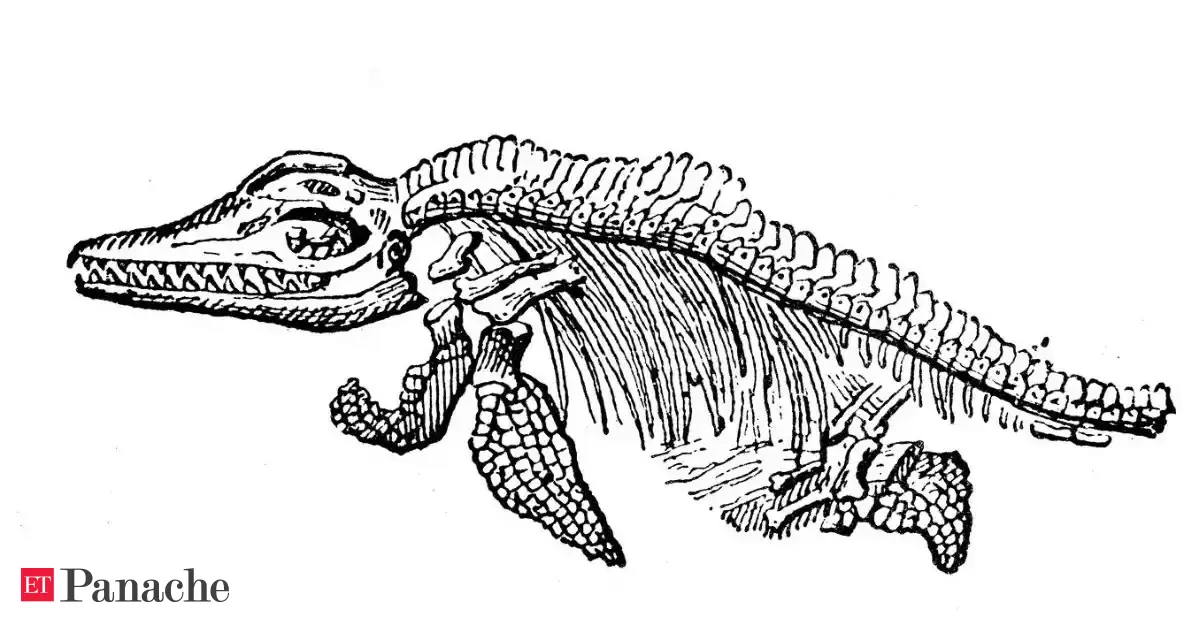 First complete skeleton of ichthyosaur aka 'fish lizard' bombed during ...