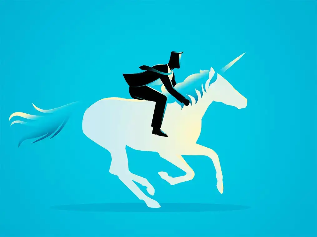 India Unicorns India s Unicorn Decade Hype Reality And The Misplaced 