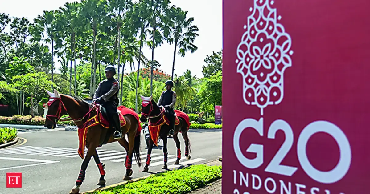 20 Engagements in 45 Hours: PM’s Bali G20 Schedule - The Economic Times