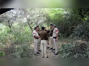 Mehrauli murder: Police conduct fresh searches across Delhi - The ...