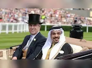 Prince Andrew: Duke of York’s secret Bahrain visit: Prince Andrew eyes ...