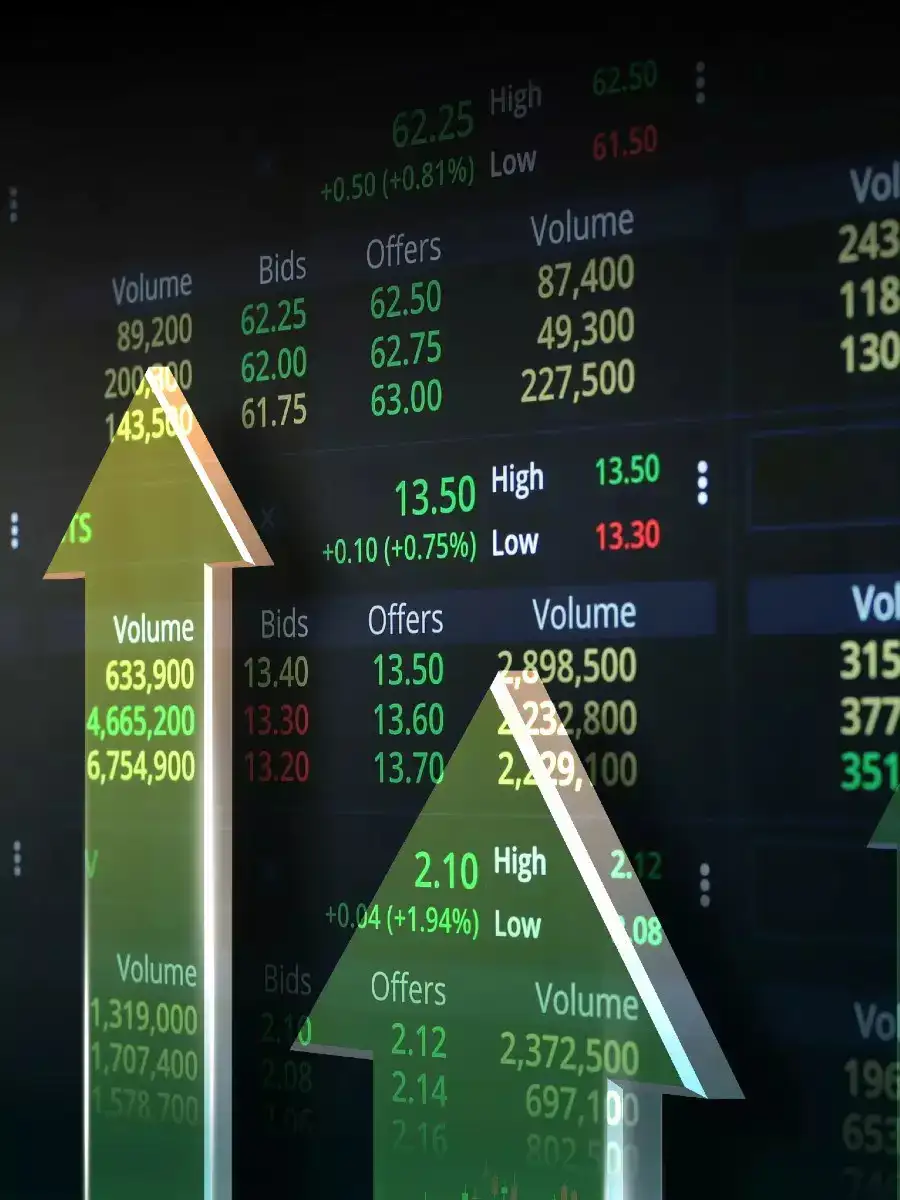 nifty record high: Nifty surges to fresh high! These stocks gained the ...