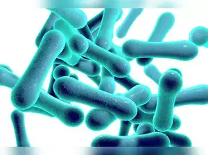 Diphtheria symptoms: Diphtheria: What is it, how does it spread, and ...