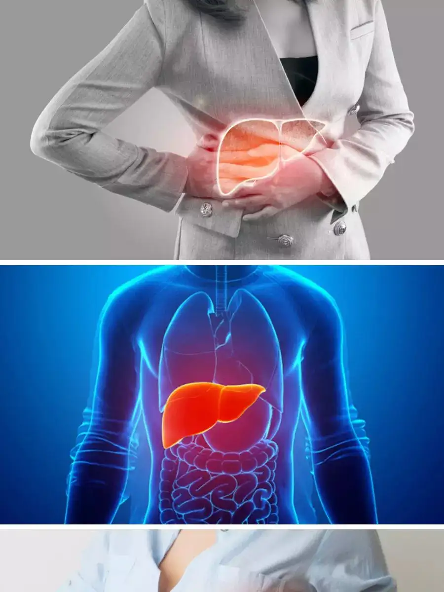 Fatty Liver Disease: Fatty Liver Condition Sees A Spike In Indian ...