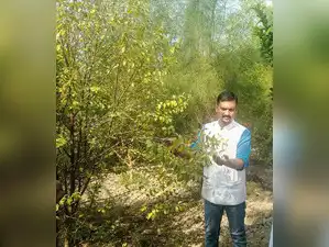 CAPF officer quits dream job, turns into farmer to promote cultivation ...