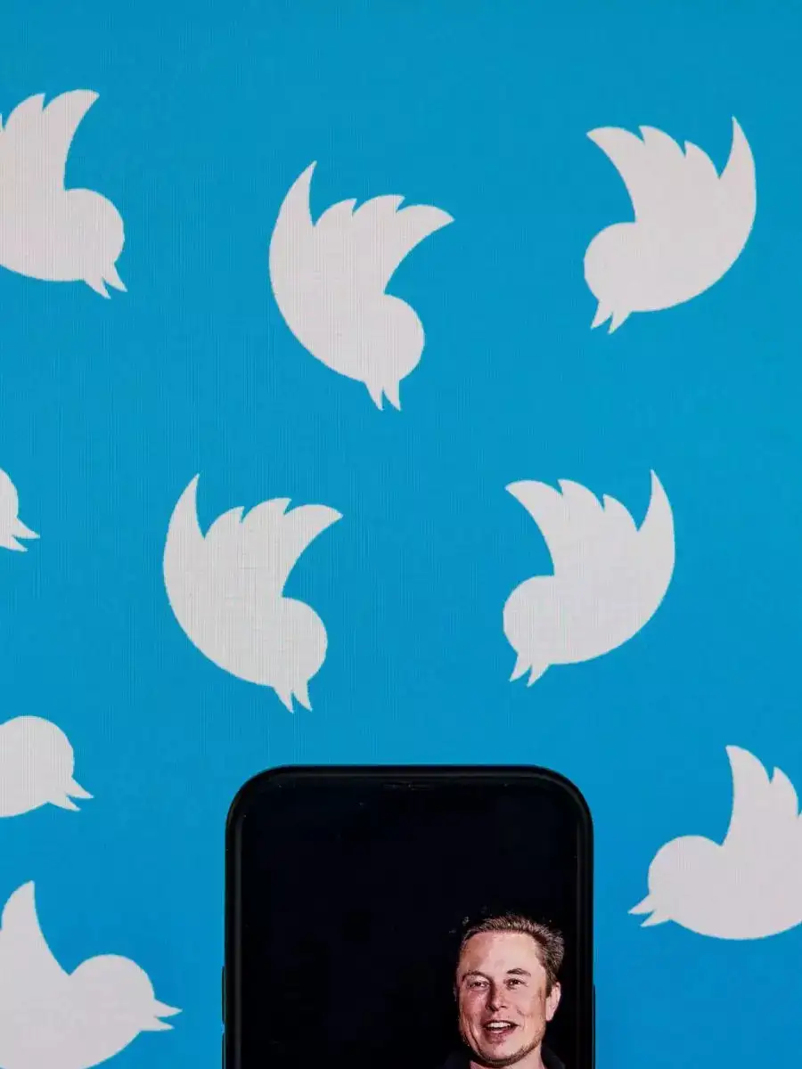 Twitter blue features: Undo Button, Themes & Custom App Icons: List Of ...