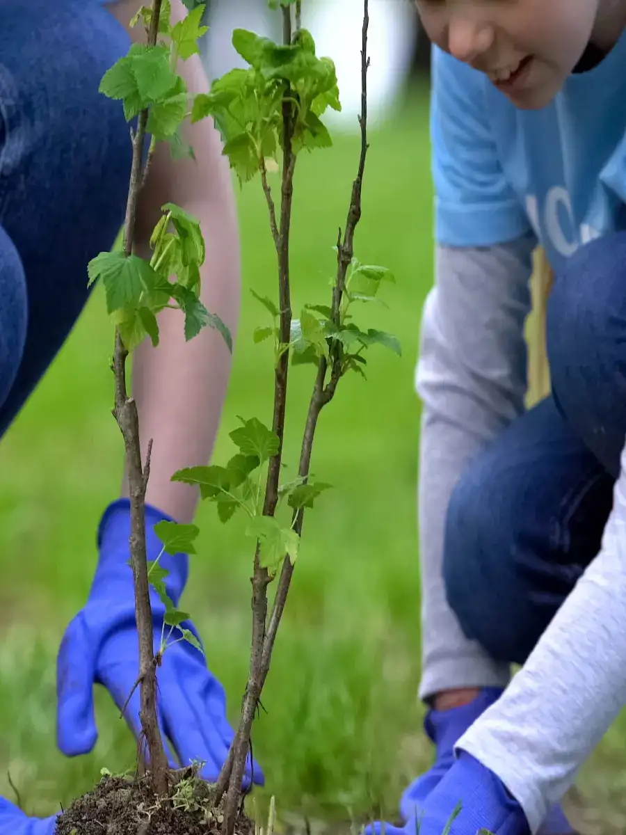 United Nations: 10 UN recognised natural world restoring initiatives ...