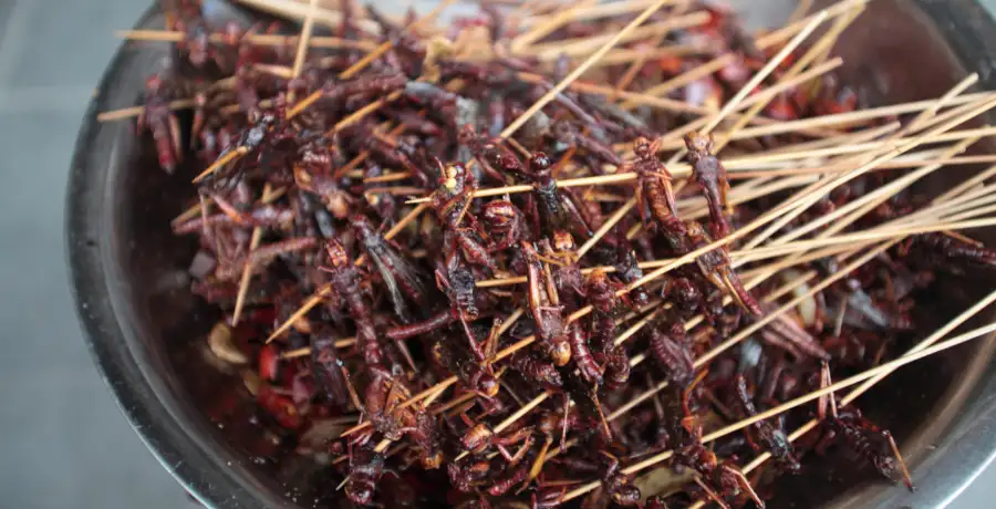 Chinese Food Chinese People Love These Weird Foods Will You Try