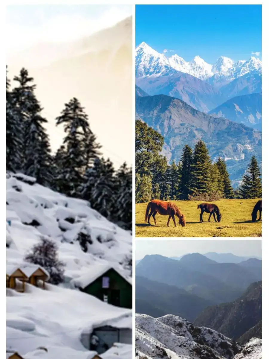 India Snowfall Places: Searching For Snow? From Pahalgam To Lava, 8 ...