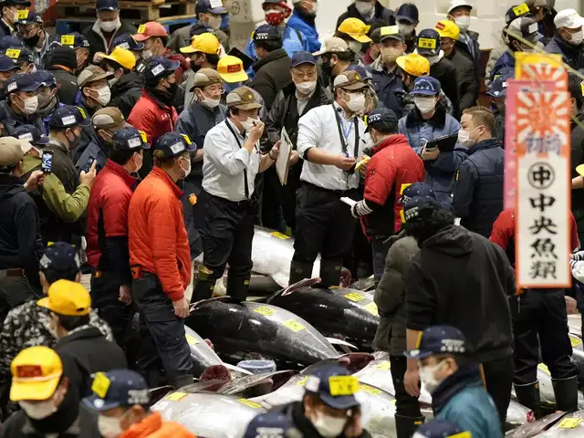 Tuna New Year Auction: Japan tuna fetches $275,000 at New Year auction ...