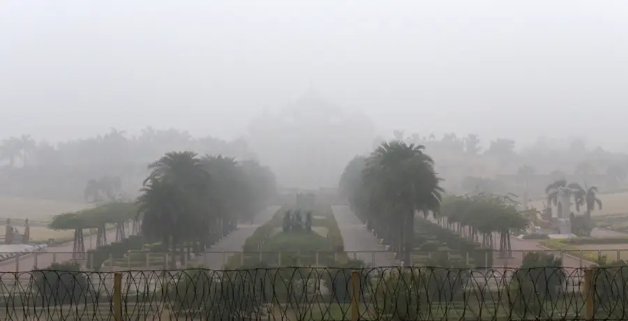 delhi fog: Dense fog engulfs Delhi-NCR; Why does this happen every year ...