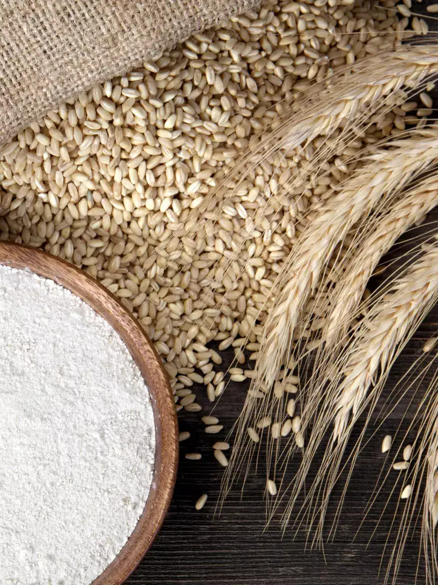 Pakistan Crisis: Pakistan flour crisis: Here's all you need to know ...