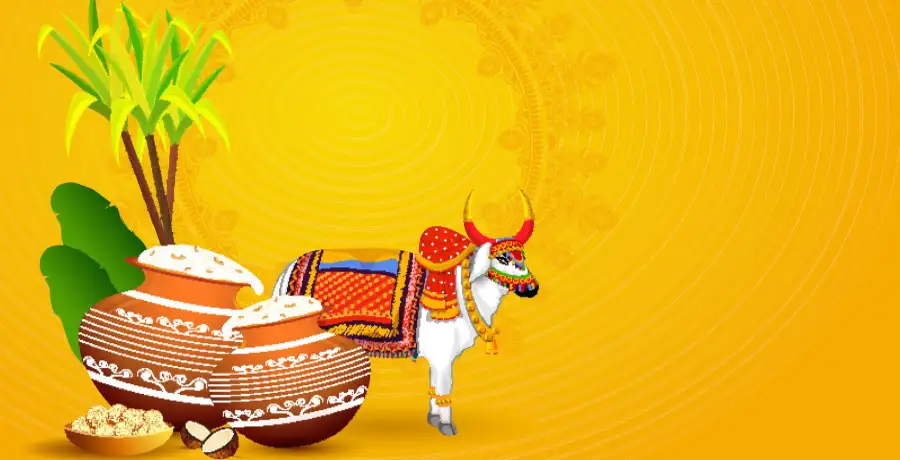 makar sankranti: When is Lohri, Makar Sankranti, Pongal, Uttarayan and ...