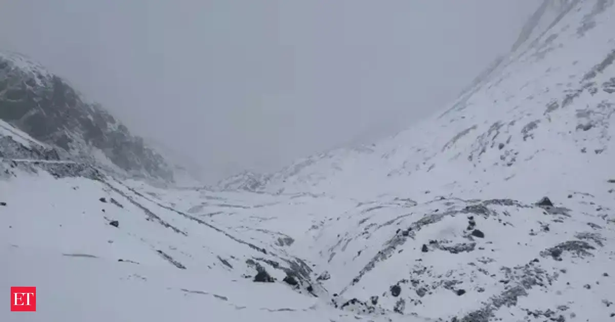 Cold wave sweeps North India, Himachal receives fresh snowfall, Delhi ...